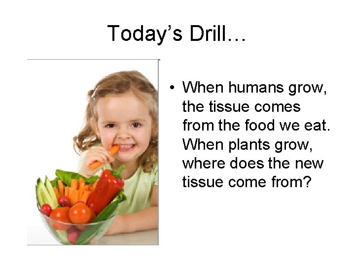 Todays Drill When humans grow the tissue comes