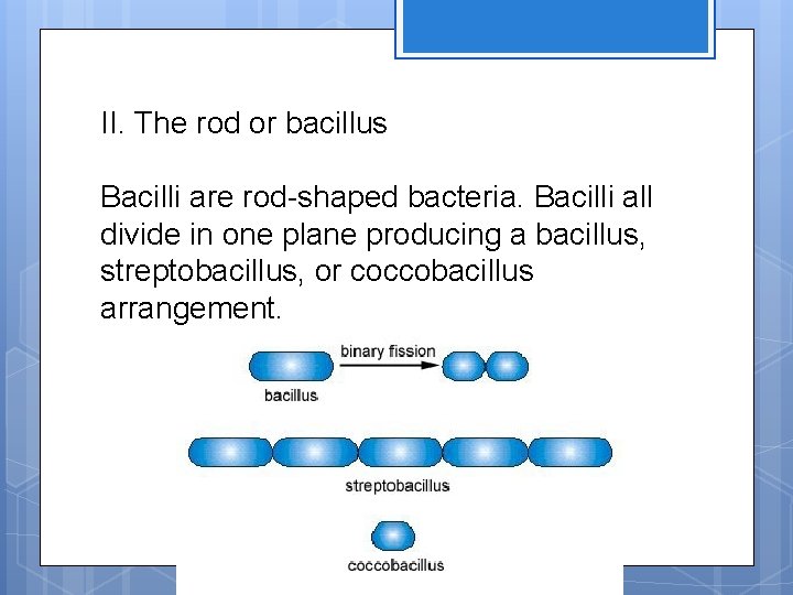 Microbiology Laboratory Procedures Microbiology the study of microbes