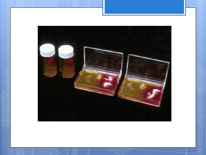 Microbiology Laboratory Procedures Microbiology the study of microbes