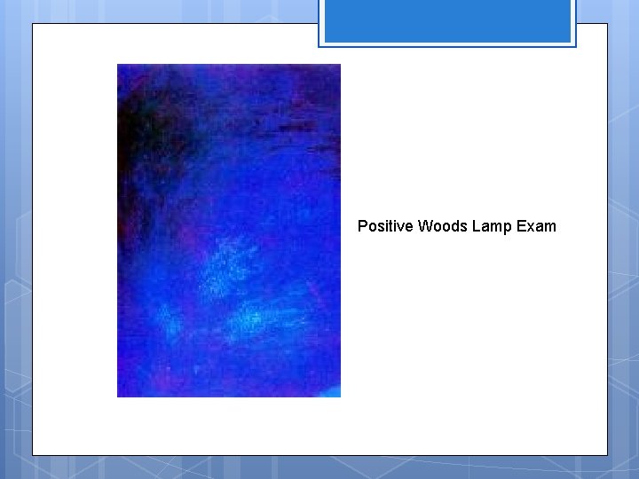 Microbiology Laboratory Procedures Microbiology the study of microbes