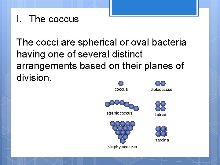 Microbiology Laboratory Procedures Microbiology the study of microbes