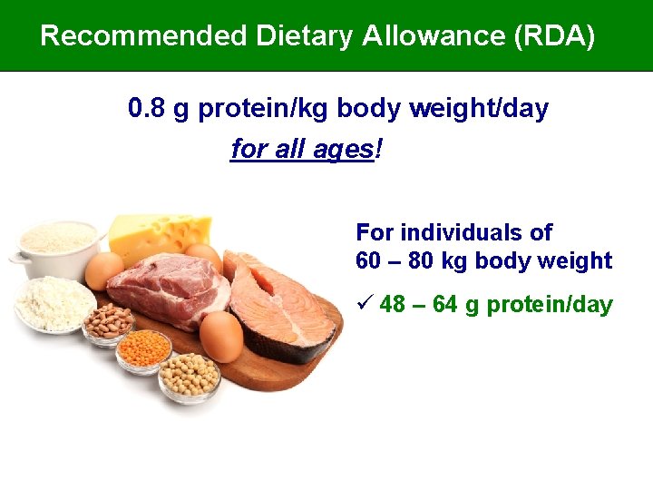Protein for Healthy Bones Wendy E Ward Professor