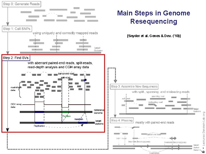 Bioinformatics Variant Identification Focusing on SVs Mark Gerstein