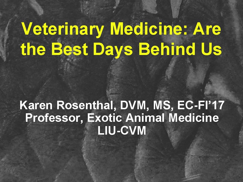 Veterinary Medicine Are the Best Days Behind Us