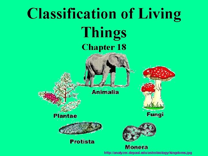 Classification of Living Things Chapter 18 http analyzer