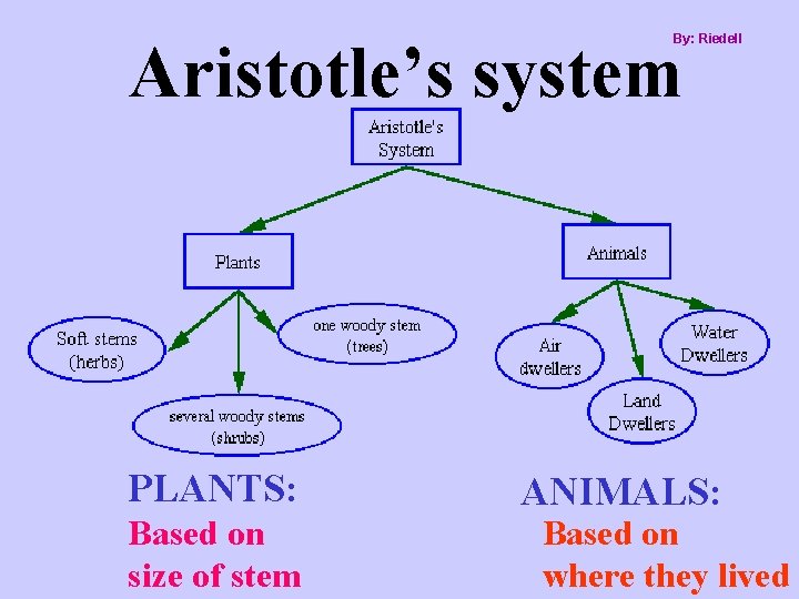 Classification of Living Things Chapter 18 http analyzer