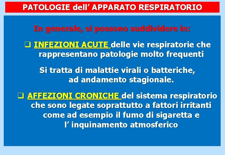 BIOLOGIA slide n 39 APPARATO RESPIRATORIO La respirazione