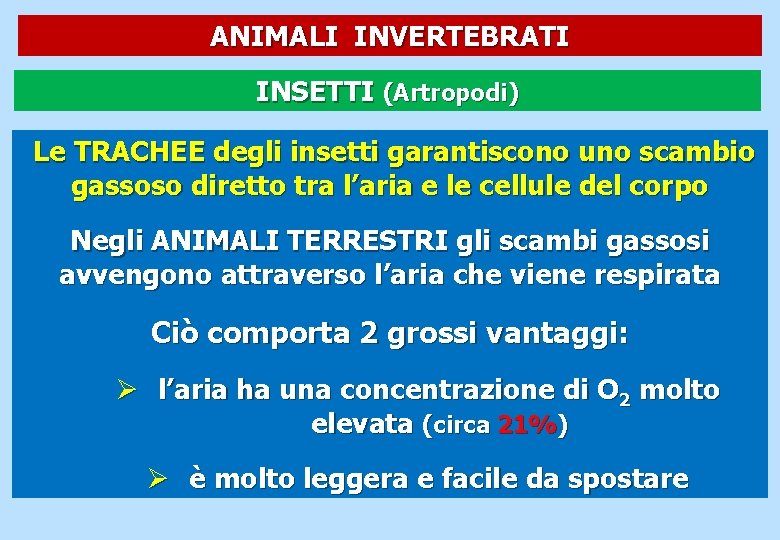 BIOLOGIA slide n 39 APPARATO RESPIRATORIO La respirazione