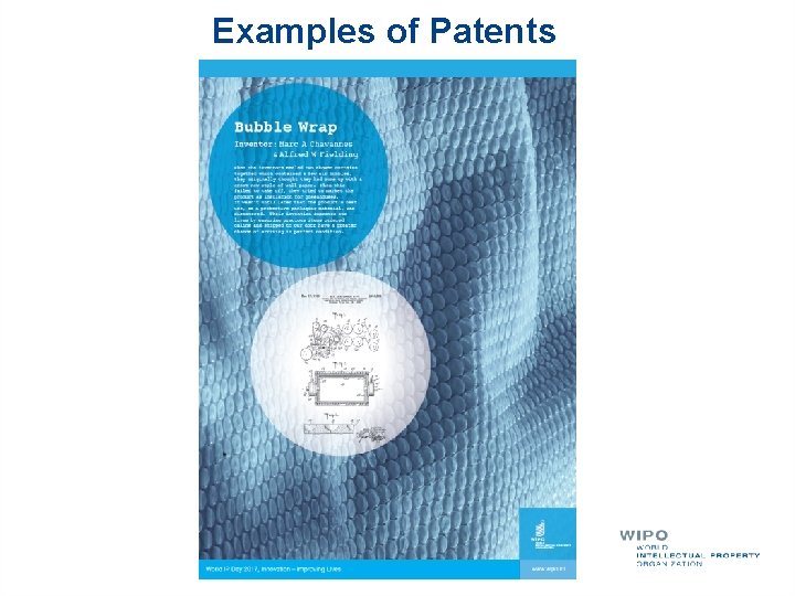 Options to Protect an Invention the Patent Cooperation