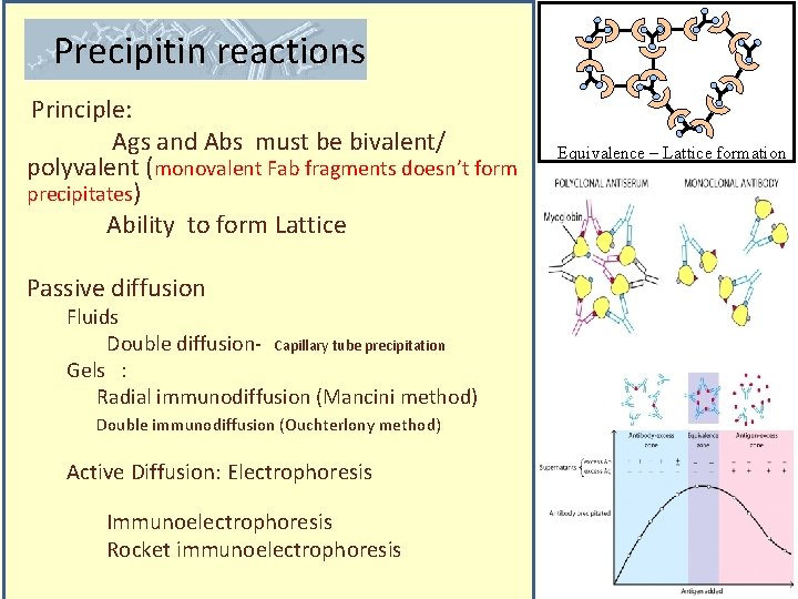 Different techniques in Immunology Dr G Sunil Babu