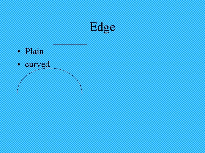 There are many shapes in our world BASIC