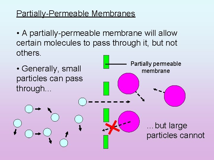 Diffusion and Osmosis Diffusion Particles in a liquid