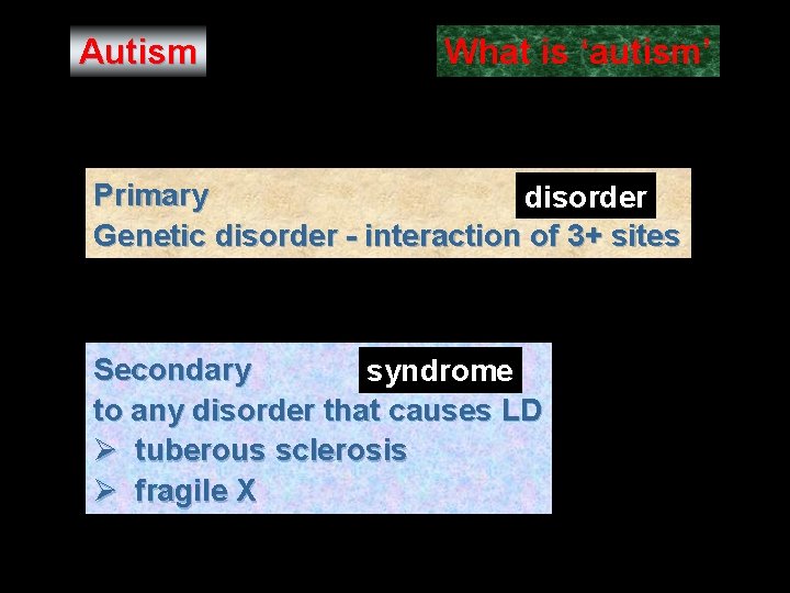 Comorbid Disorder in Autism Tom Berney Northgate Prudhoe