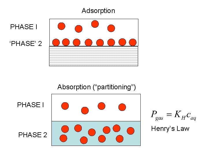 Adsorption Equilibrium Adsorption vs Absorption Adsorption is accumulation