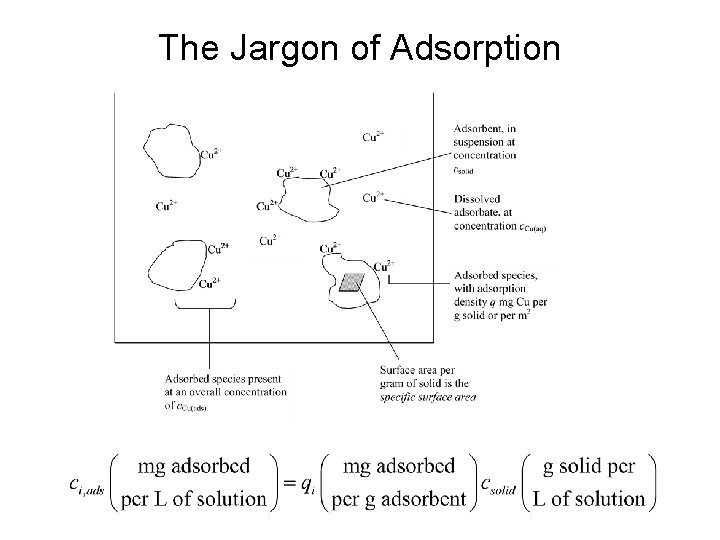 Adsorption Equilibrium Adsorption vs Absorption Adsorption is accumulation