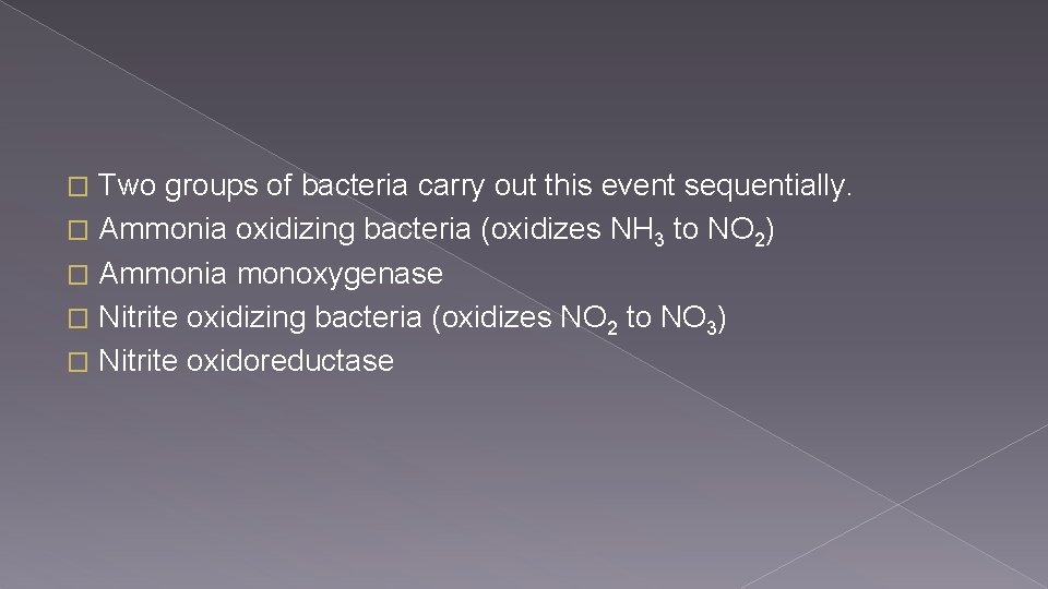 Nitrifying Bacteria For In example Nitrosomonas and Nitrobacter