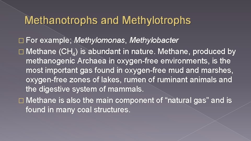 Nitrifying Bacteria For In example Nitrosomonas and Nitrobacter