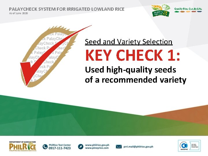 PALAYCHECK SYSTEM FOR IRRIGATED LOWLAND RICE As of