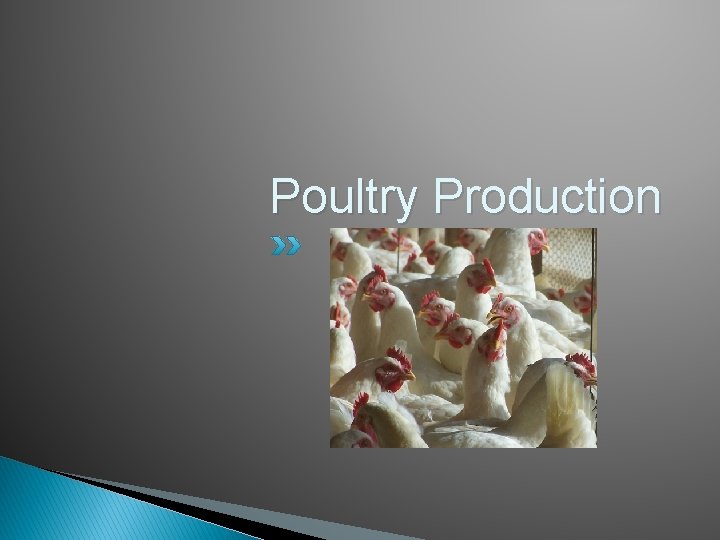 Animal Agriculture Processes Objective 5 02 Understand the