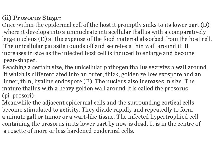 Synchitrium endobioticum ENDOSYMBIOTIC FUNGUS IT CAUSES WART DISEASE