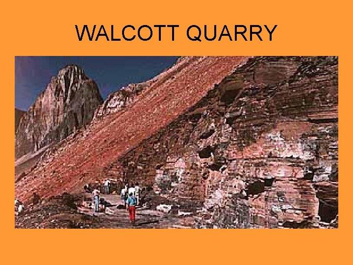 BURGESS SHALE Kelly Lekan November 19 2007 GEO