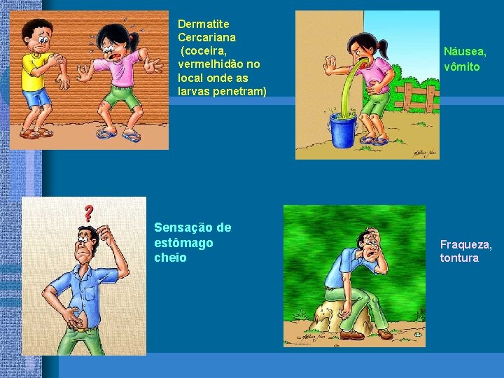 Esquistossomose Doena causada pelo verme Schistosoma mansoni Ataca