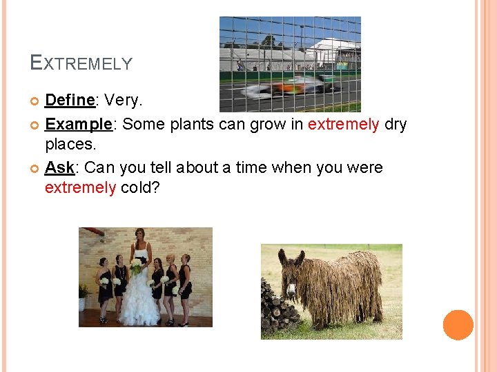 UNIT 4 WEEK 5 Vocabulary and Definitions COURAGEOUS