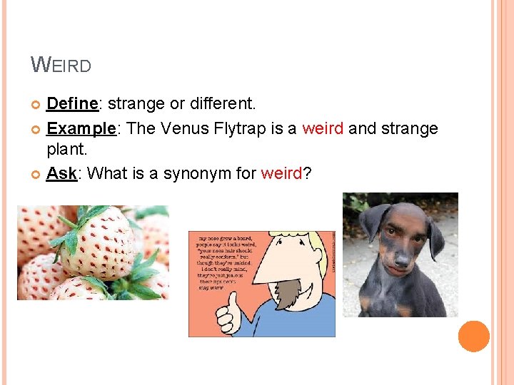 UNIT 4 WEEK 5 Vocabulary and Definitions COURAGEOUS