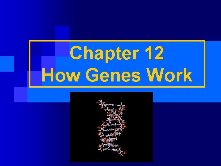 Chapter 12 How Genes Work Cooperative Activity 1