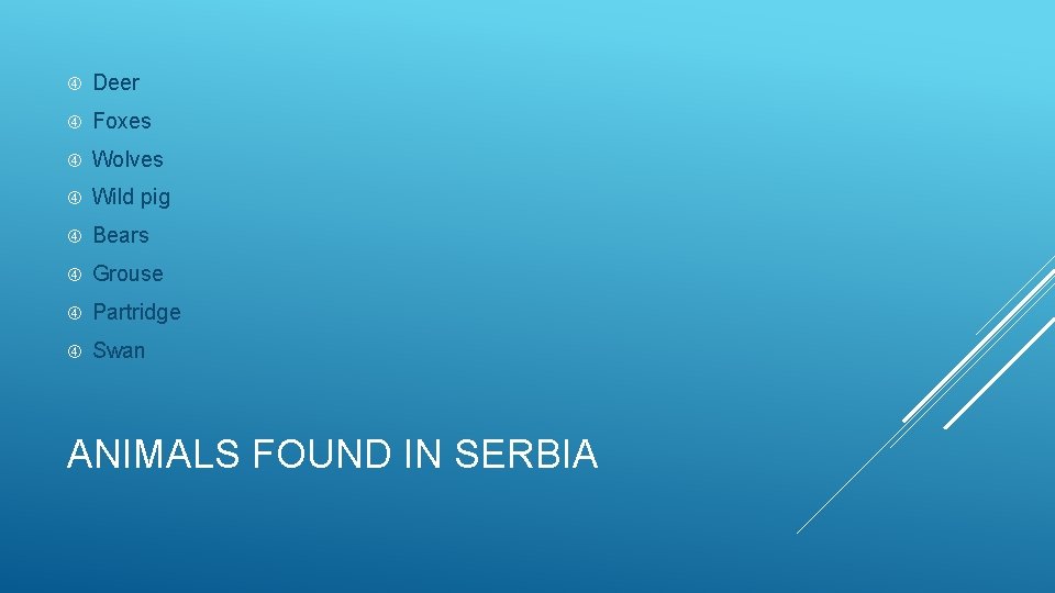 SERBIA A country to visit By Ryan Boyle