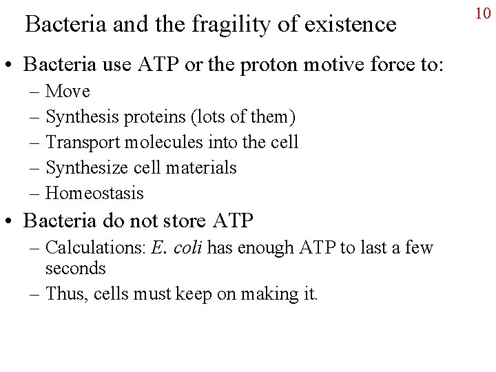 Central Metabolism Funneling all nutrients into central pathways