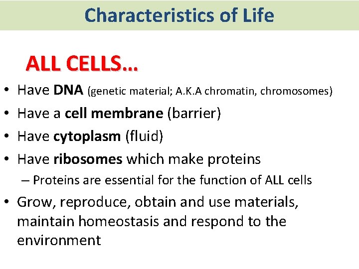 BASIC BIOLOGICAL PRINCIPLES A 1 A 1 Basic