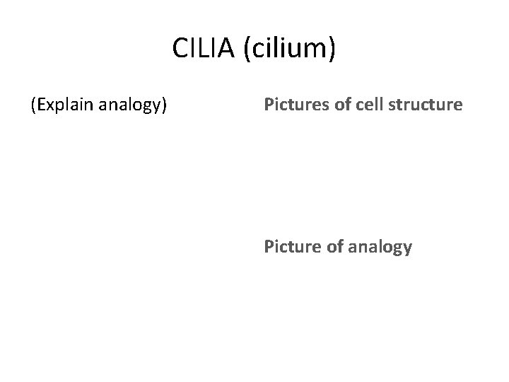 CELL SCRAPBOOK Summative Assessment Name CELL MEMBRANE The