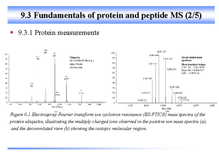 Chapter 9 Mass Spectrometry MS Microbial Functional Genomics