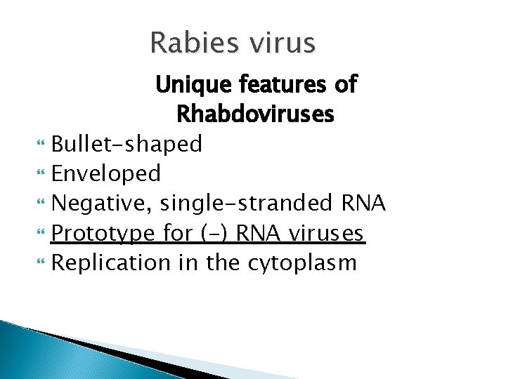 Rhabdoviruses CASE STUDY A 35 years old man