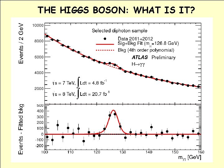 The HIGGS BOSON Discovery What it Reveals and