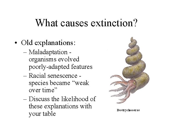 What causes extinction Old explanations Maladaptation organisms evolved