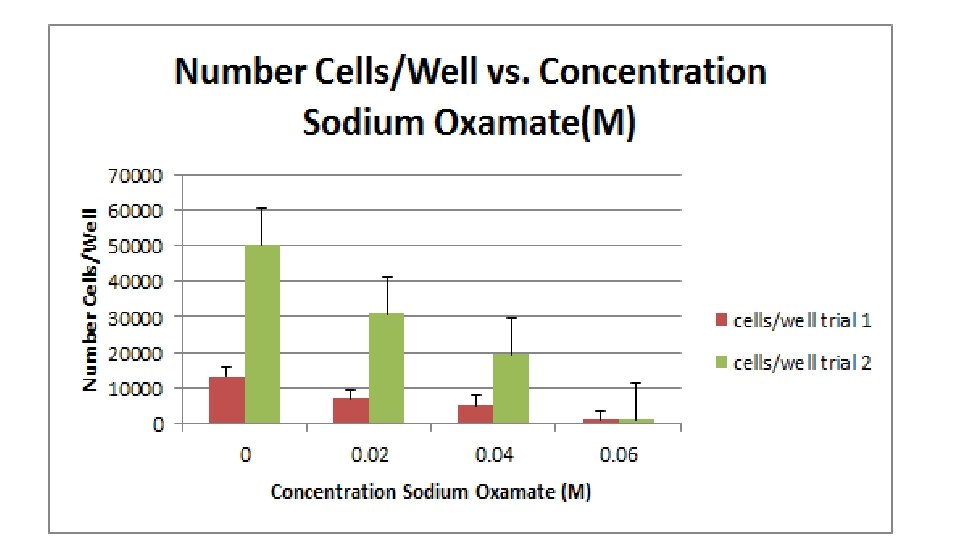 These B 16F 10 cells in culture are