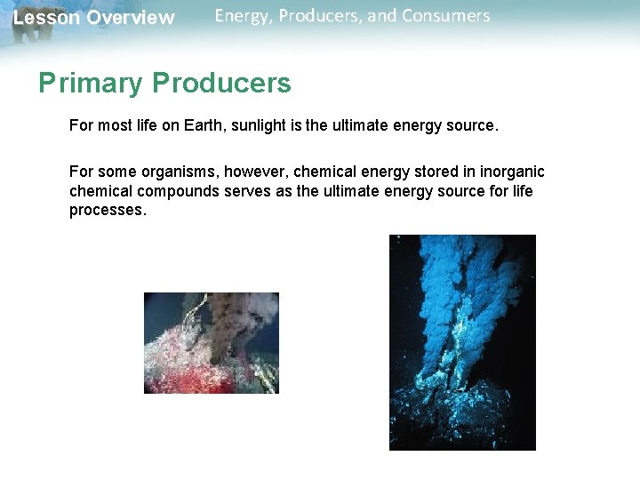 Lesson Overview Energy Producers and Consumers Lesson Overview