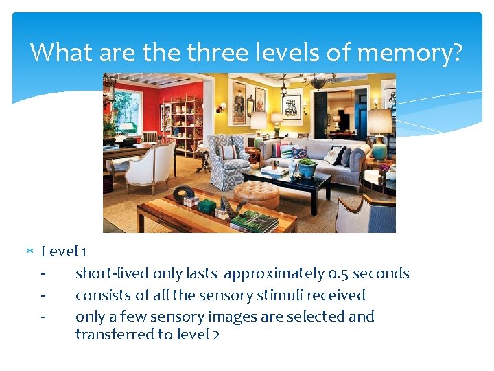 Higher Human Biology Memory Part 1 First of