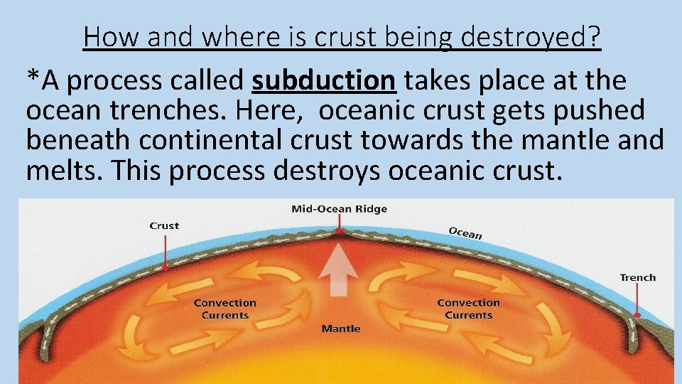Part 2 of 8 Continental Drift and Plate