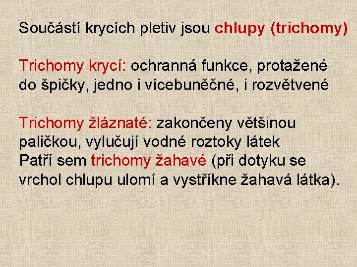 VNITN STAVBA TLA ROSTLIN Rostlinn pletiva Obecn charakteristika