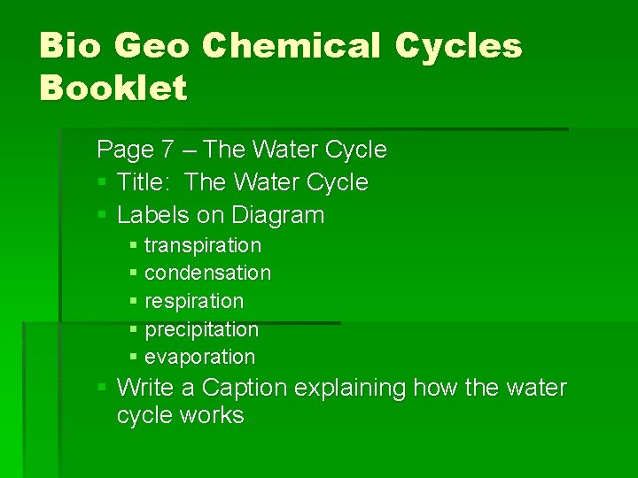 Bio Geo Chemical Cycle Booklet Assignment Please do