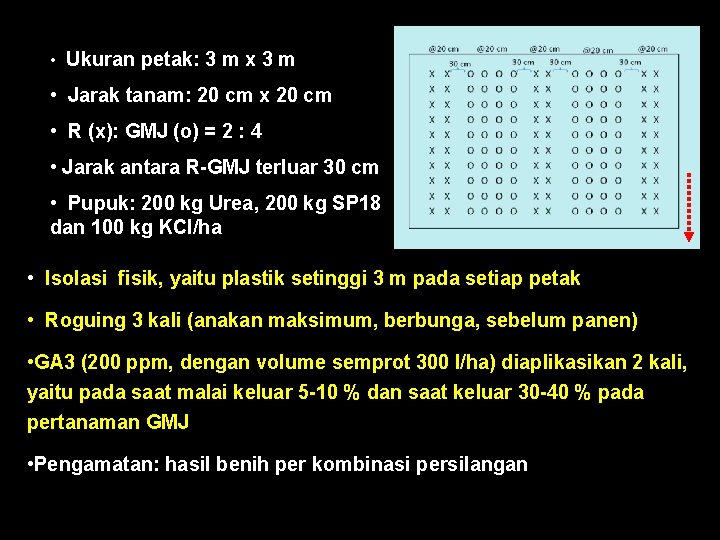 Ukuran petak 3 m x 3 m Jarak