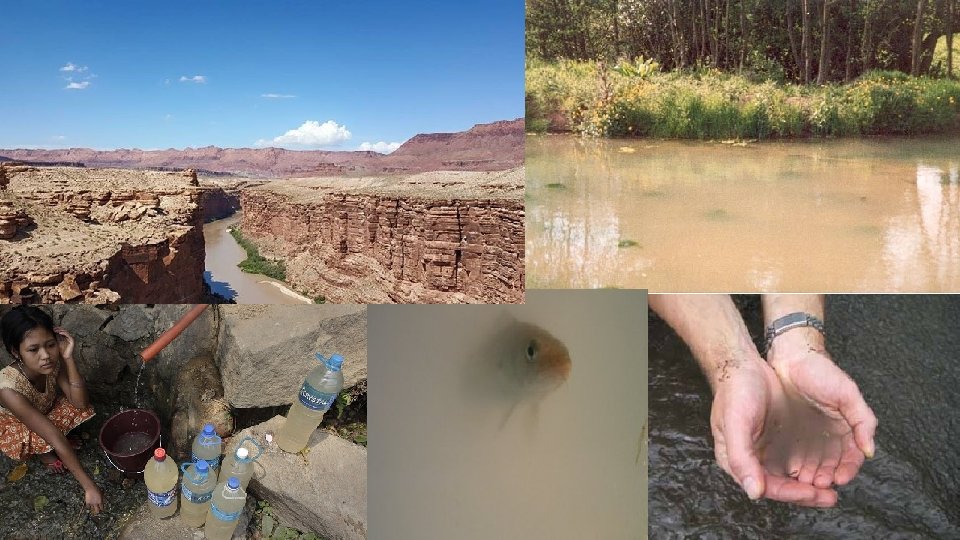 Physical Variables of Water Health 1 Temperature determines
