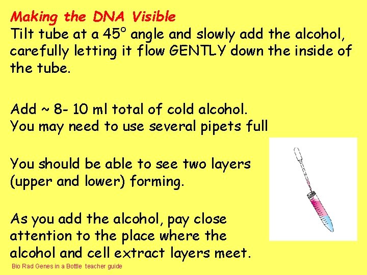AP BIO DNA EXTRACTION COLLECT AND BREAK OPEN