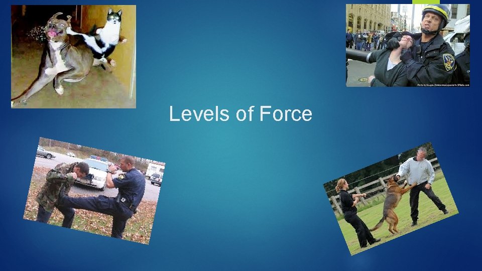 Public Interaction Procedure ARREST SEARCH LEVELS OF FORCE