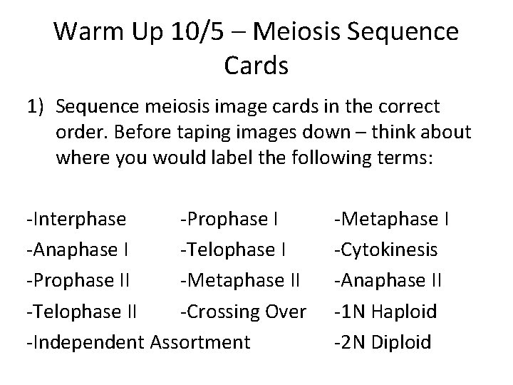 Warm Up 929 1 Complete the Mitosis Matching