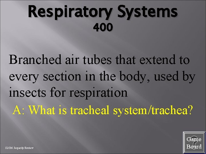RESPIRATORY SYSTEM GIEPPURDEE S 2 C 06 Jeopardy