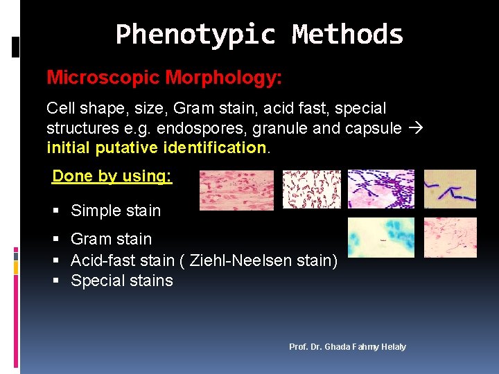 Prof Dr Ghada Fahmy Helaly Identification and classification